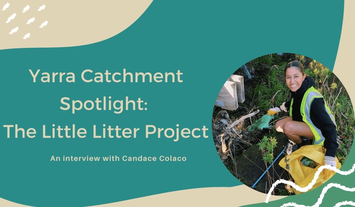 Yarra Catchment Spotlight: The Little Litter Project - Yarra ...