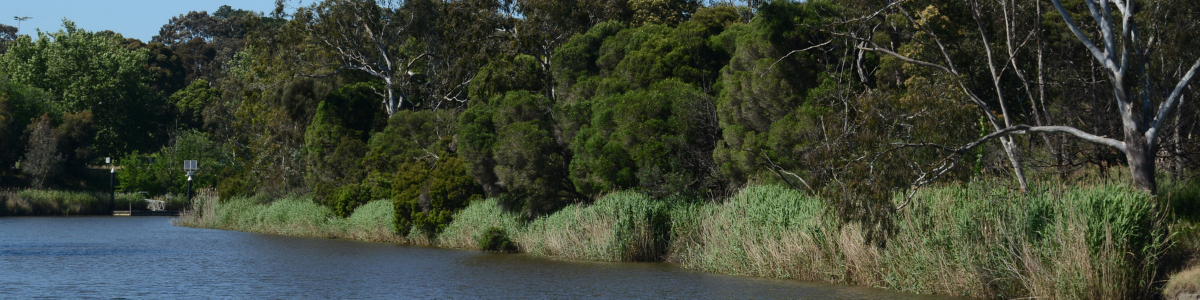 New Event - Making the Yarra River Controls Permanent - Yarra ...