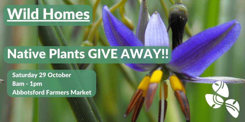 Wild Homes: Native Plants GIVE AWAY - Yarra Riverkeeper Association Wild Homes: Native Plants GIVE AWAY - Yarra Riverkeeper Association