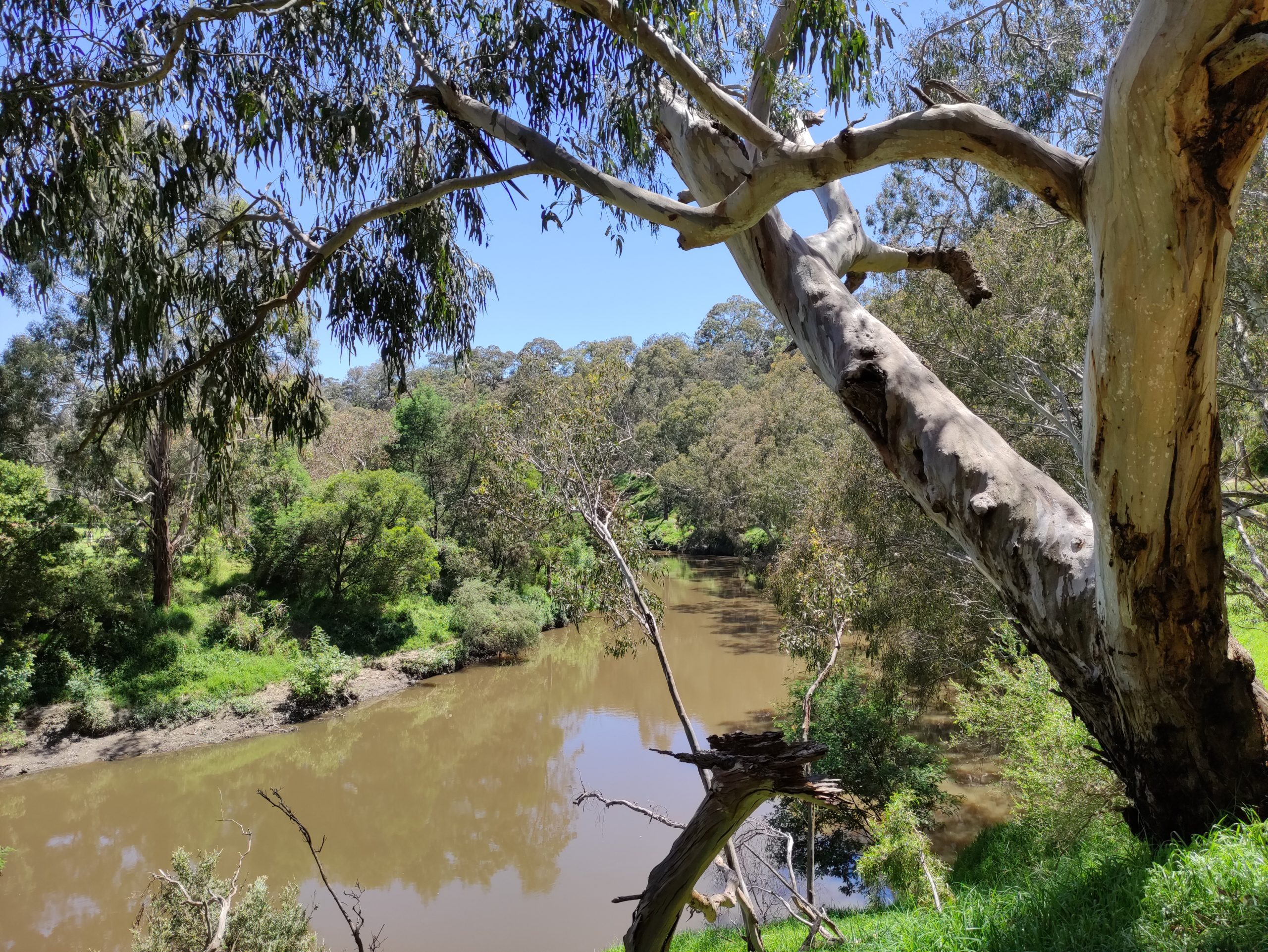 Victorian Waterways Management Strategy: Submission from the Concerned ...